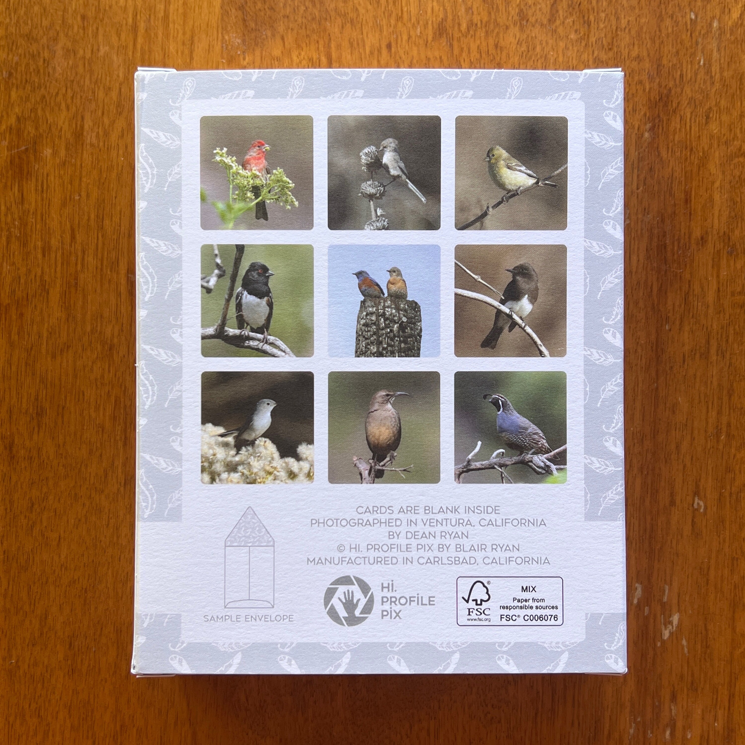 Blank Notecards Birds of Harmon Canyon Preserve Ventura California Bird ...
