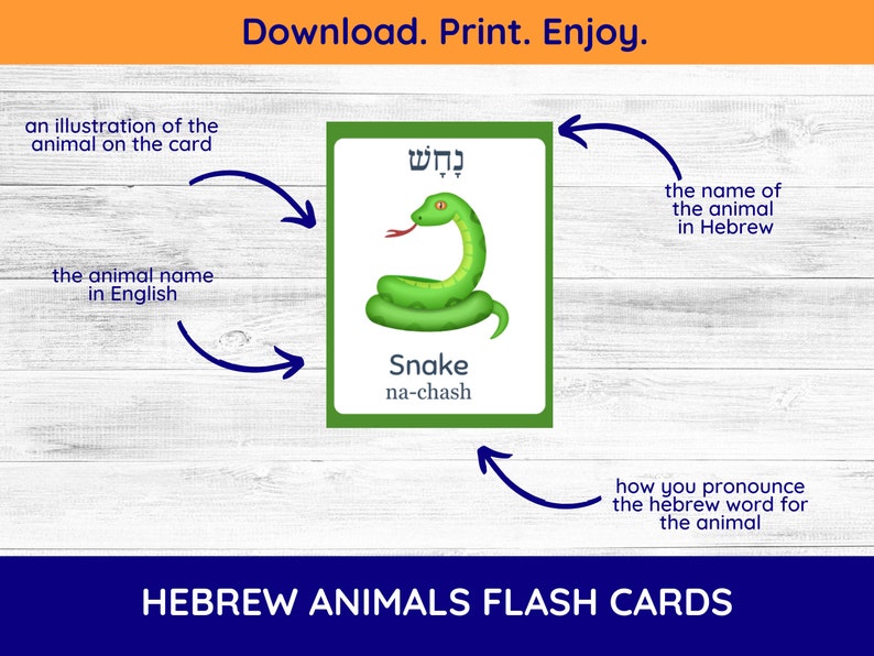 Hebrew Animals Flash Cards Hebrew Flash Cards Learn Animal Names in ...