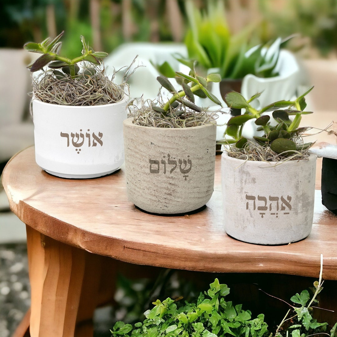 Hebrew Laser Etched Mini Pots Eco-friendly Jewish Mini Pots Jewish Eco ...