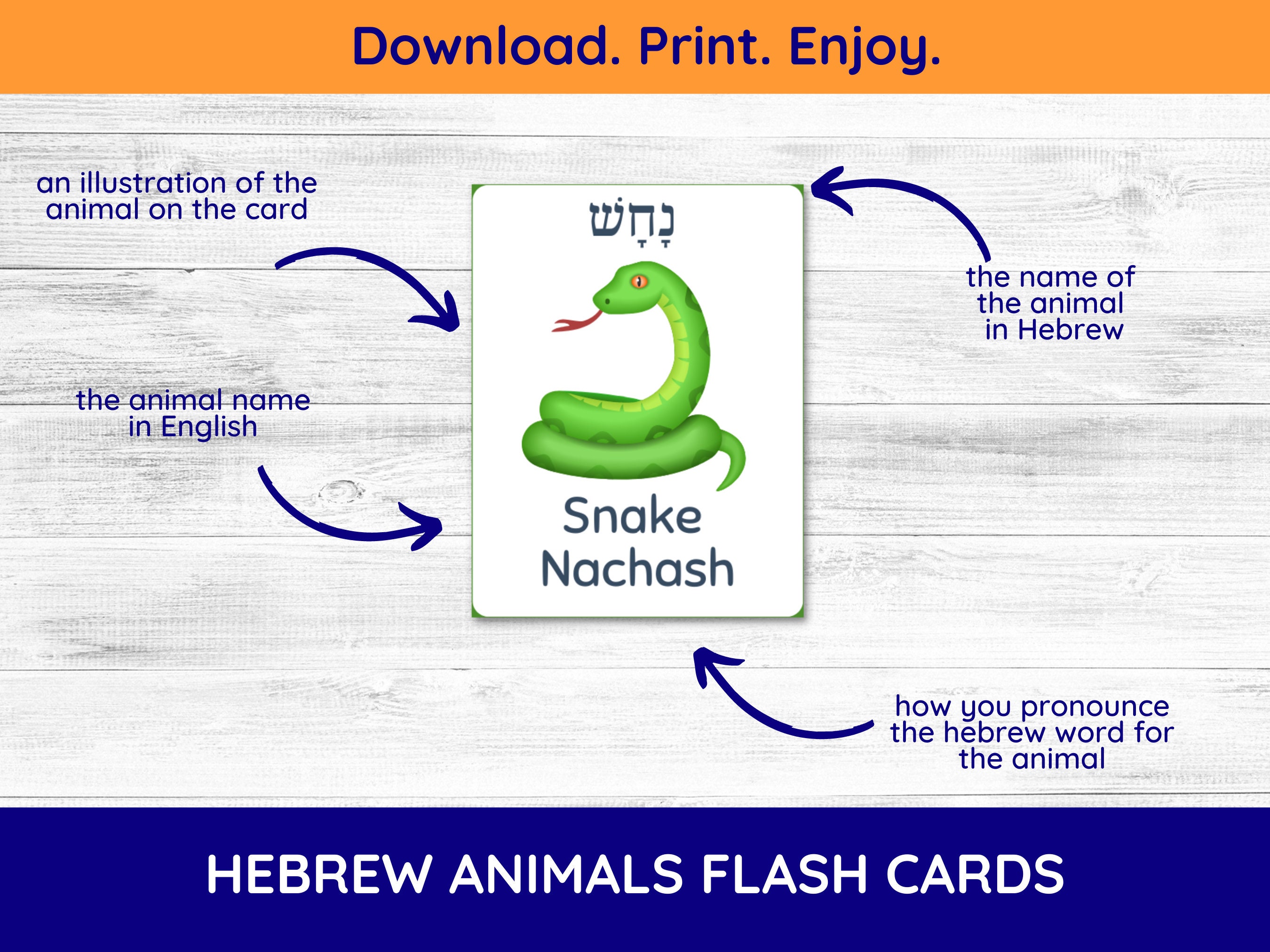 Hebrew Animals Flash Cards, Hebrew Flash Cards, Learn Animal Names in ...