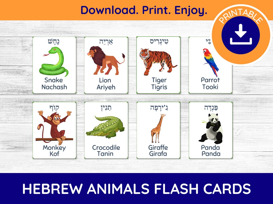 Hebrew Animals Flash Cards, Hebrew Flash Cards, Learn Animal Names in ...