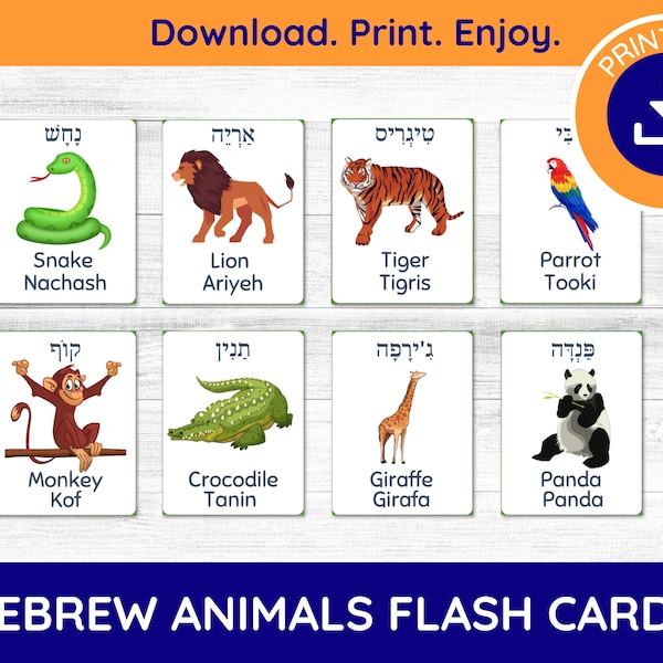 Hebrew Alphabet Flash Cards - Etsy