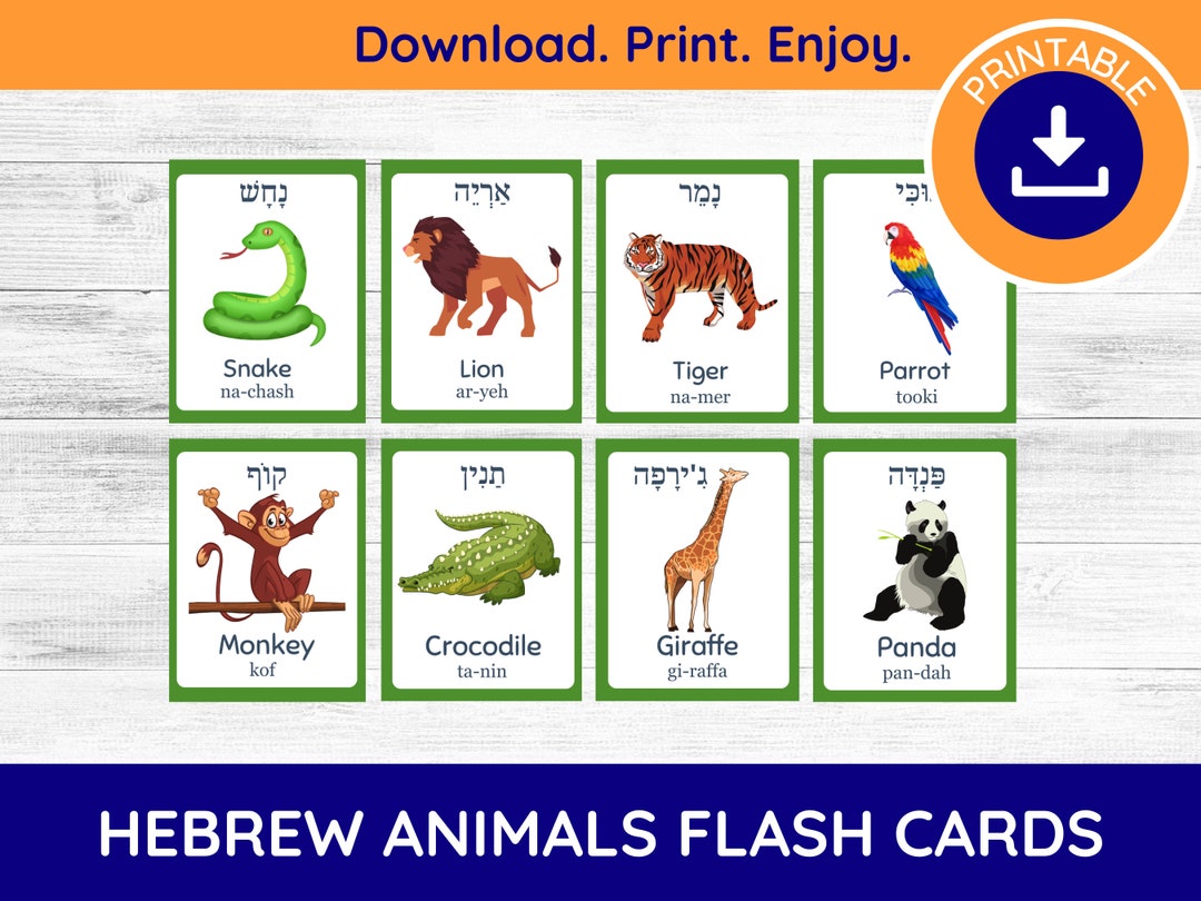 Hebrew Animals Flash Cards Hebrew Flash Cards Learn Animal Names in ...
