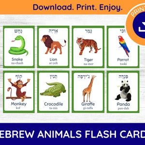 Hebrew Animals Flash Cards Hebrew Flash Cards Learn Animal Names in ...