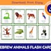 Hebrew Colors Flash Cards, Hebrew Flash Cards, Learn Your Colors in ...