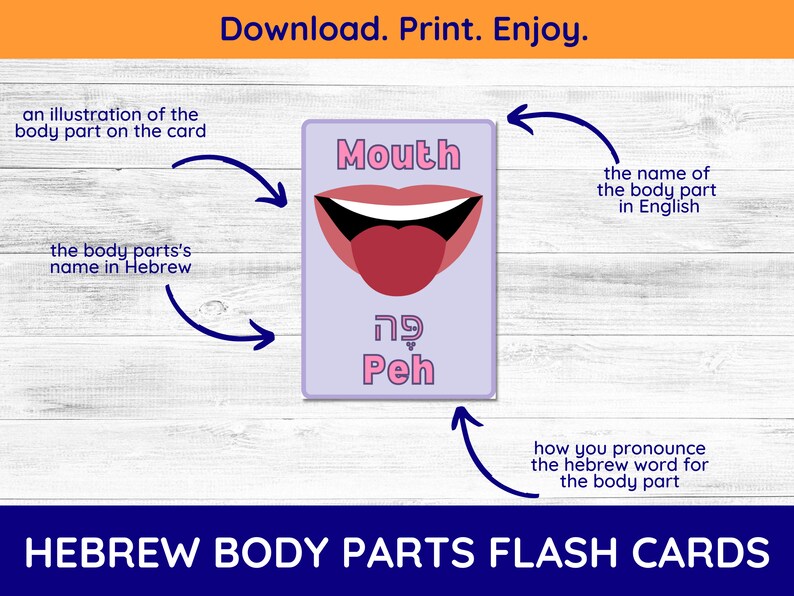 Hebrew Body Parts Flash Cards Hebrew Flash Cards Learn Your Body Parts ...