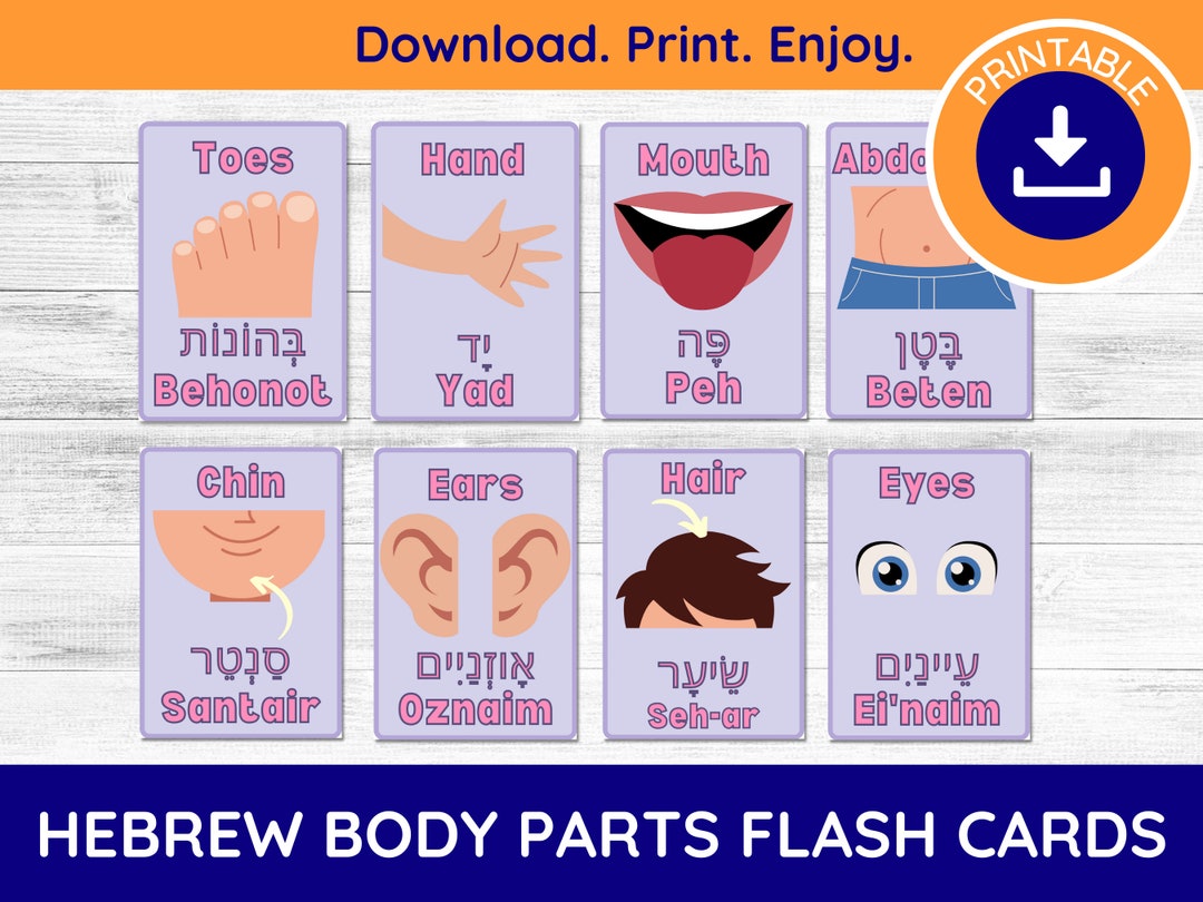Hebrew Body Parts Flash Cards Hebrew Flash Cards Learn Your Body Parts ...