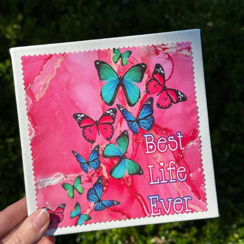 Butterfly Cleaning Cloth - Etsy