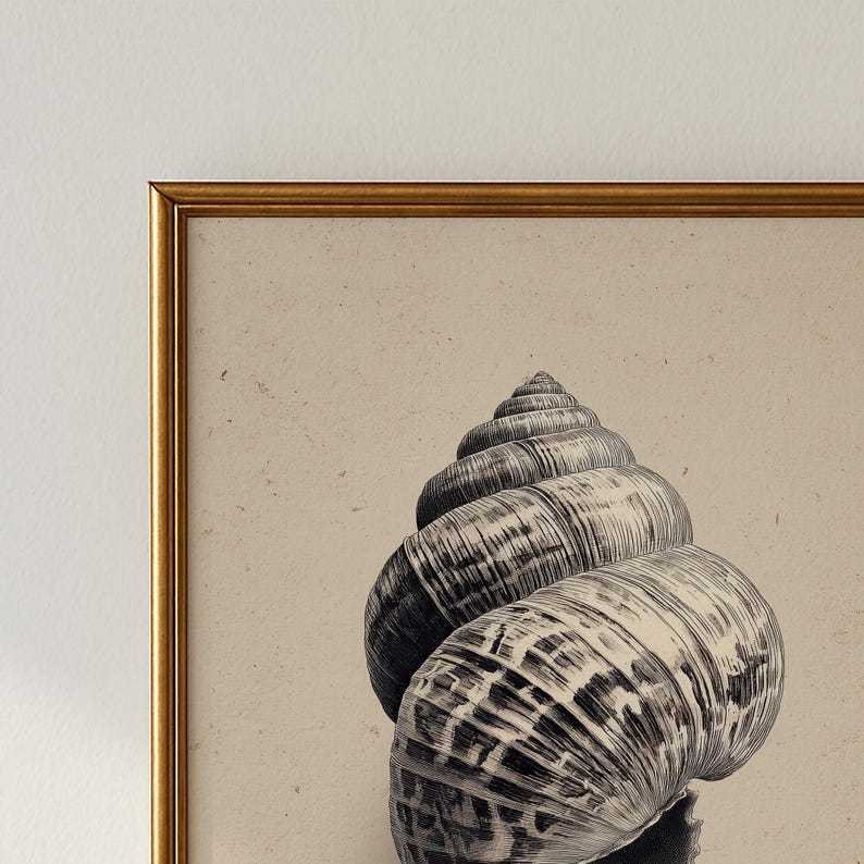 Vintage Seashell Print, Botanical Sketch, Gallery Wall Art, Digital ...