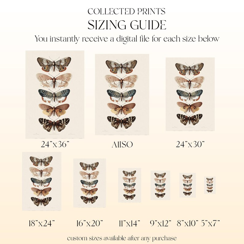 Vintage Moth Print, Botanical Print, Gallery Wall Art, Digital Art ...