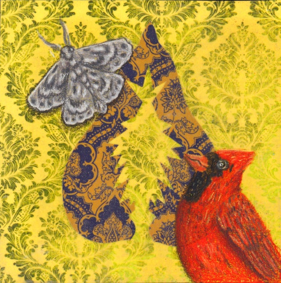 Wall Hangings Cardinal and Moth fine art giclee print Wall Decor etna ...