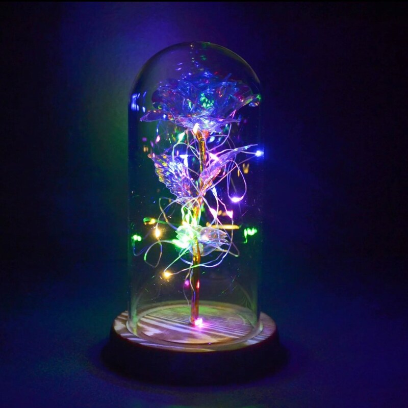 Rose in Glass Dome - Etsy
