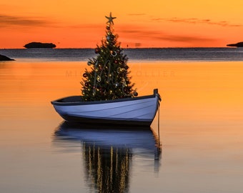 Floating Christmas Tree, Giclee Art Print of Row Boat With a Christmas ...