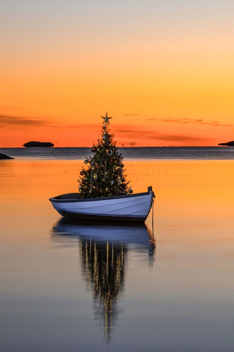 Little Christmas Tree in Boat - Etsy