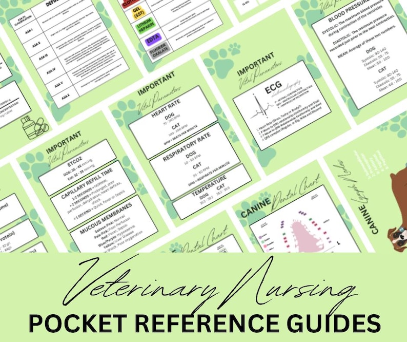 Veterinary Nursing Pocket Reference Cards - Etsy