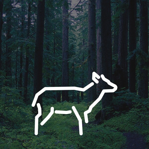 Doe Decal - Etsy
