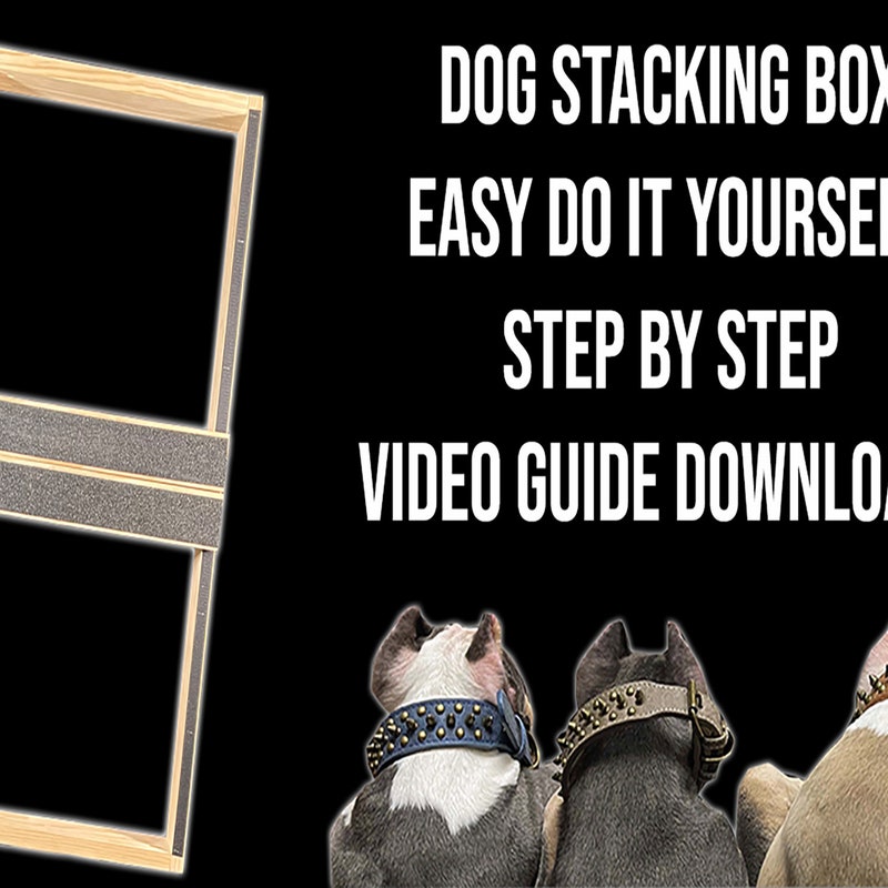 Dog stacker box - Etsy México