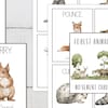 ANIMAL MOVEMENT CARDS, Australian Animals, Calm Down Activity, Kids ...
