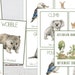 ANIMAL MOVEMENT CARDS, Australian Animals, Calm Down Activity, Kids ...