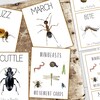 ANIMAL MOVEMENT CARDS, African Animals, Calm Down Activity, Kids ...
