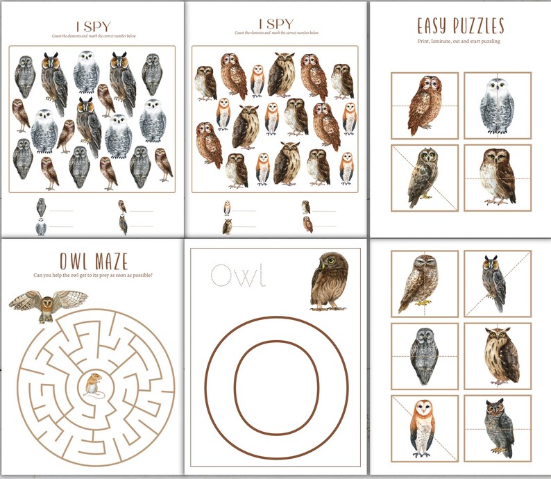 OWLS Unit Study, Life Cycle, Anatomy, Nature Study, Science, Homeschool ...