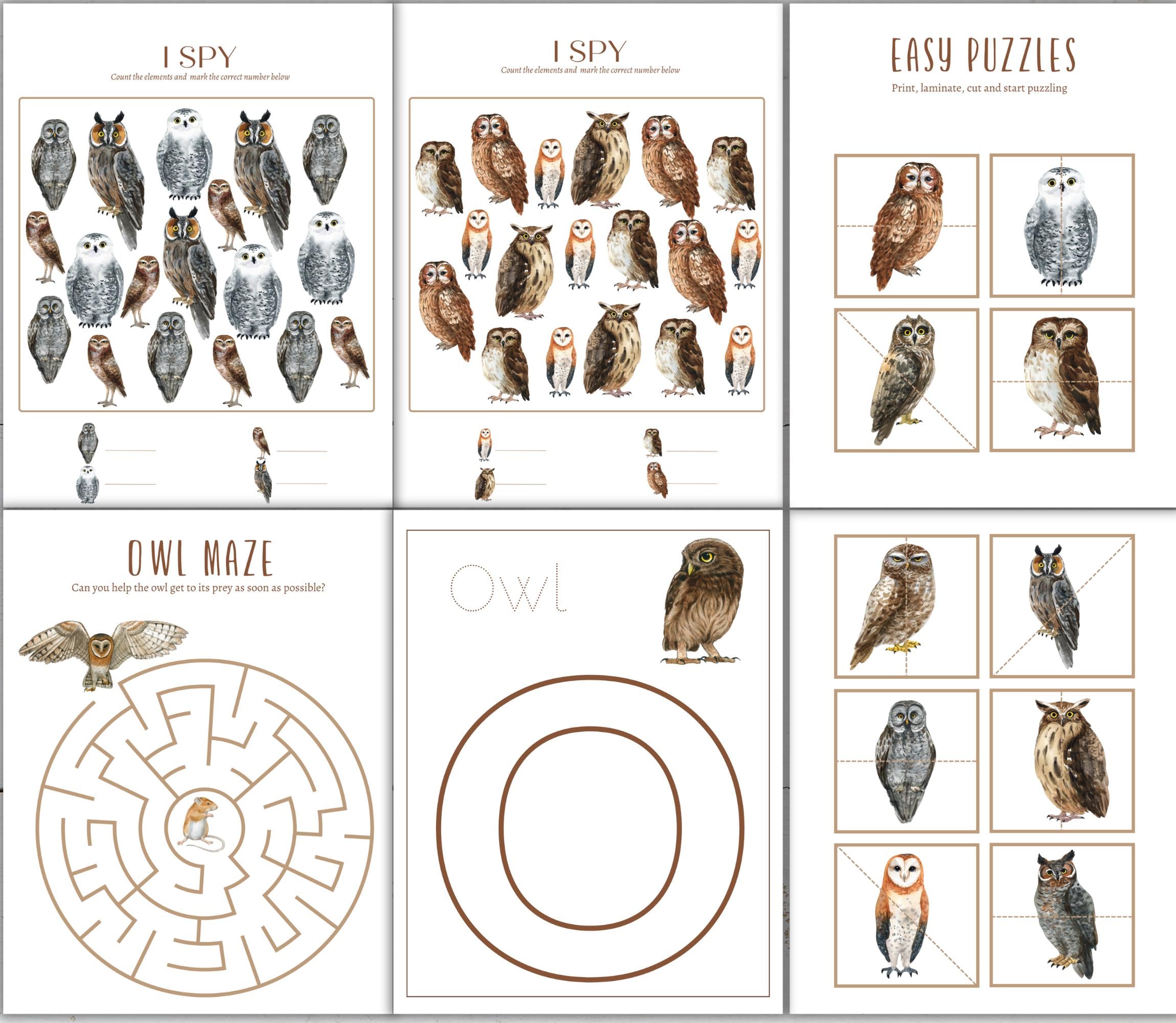OWLS Unit Study, Life Cycle, Anatomy, Nature Study, Science, Homeschool ...