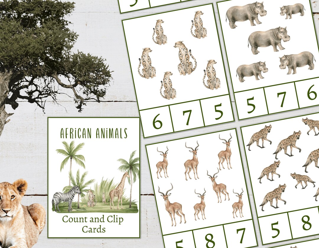 AFRICAN Animals Count and Clip Cards, 1 to 12 Counting, Activity for ...