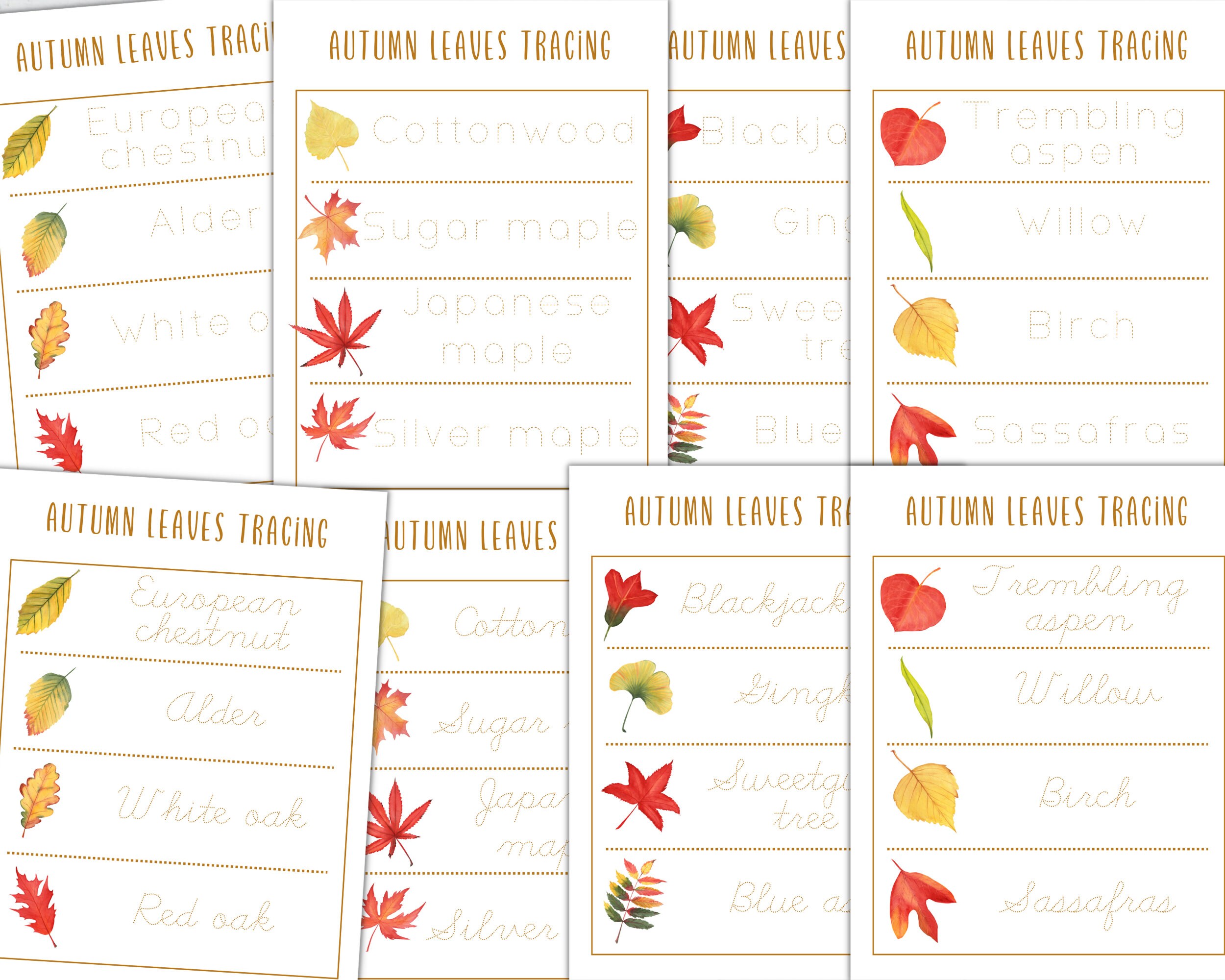 AUTUMN LEAVES Pre-k and K Activity Pack, Homeschool, Digital, Instant ...