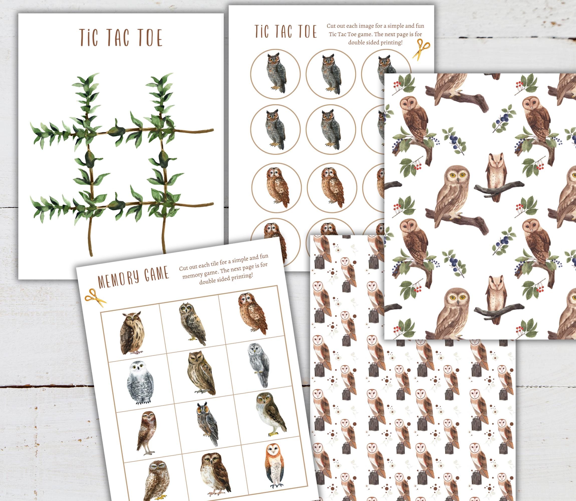 OWLS Unit Study, Life Cycle, Anatomy, Nature Study, Science, Homeschool ...