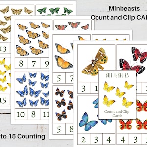 BUTTERFLY Pre-k and K Activity Pack, Homeschool, Digital, Instant ...