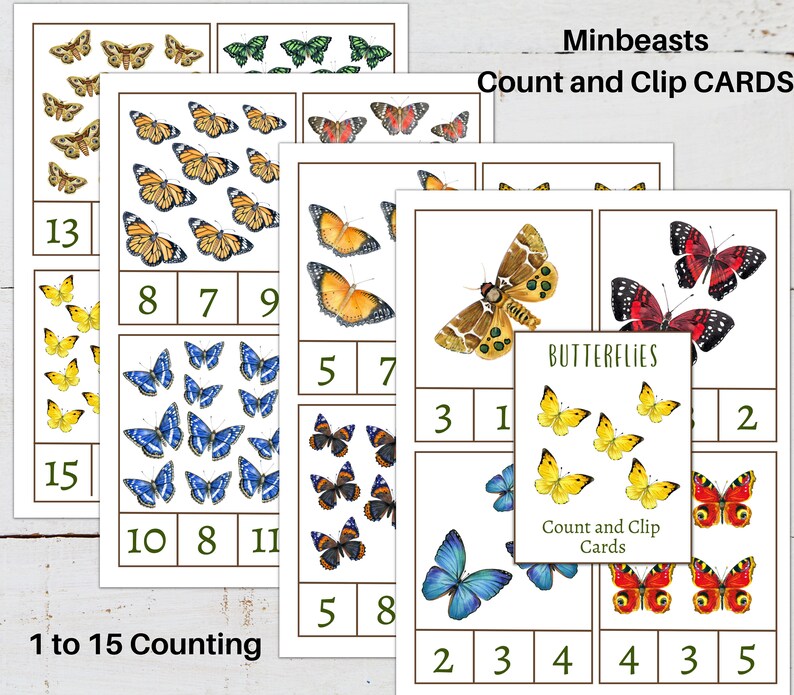 BUTTERFLY Pre-k and K Activity Pack, Homeschool, Digital, Instant ...