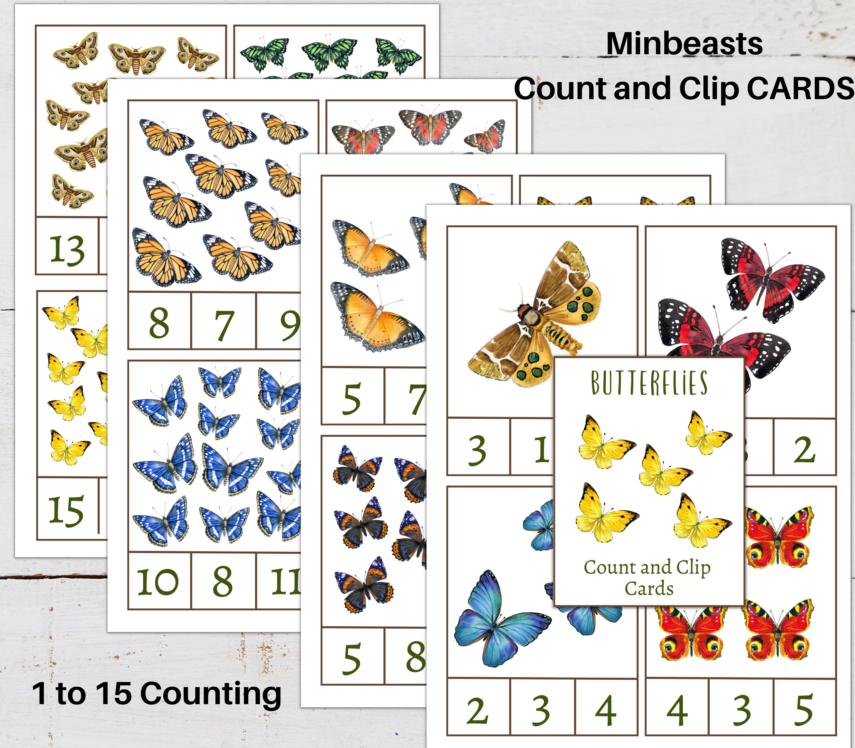 BUTTERFLY Pre-k and K Activity Pack, Homeschool, Digital, Instant ...