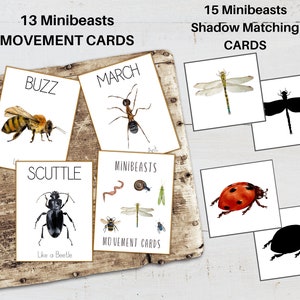 MINIBEASTS Pre-k and K Activity Pack, Homeschool, Digital, Instant ...