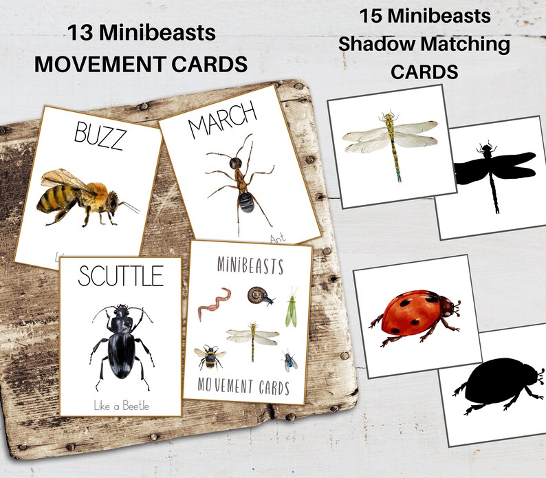 MINIBEASTS Pre-k and K Activity Pack, Homeschool, Digital, Instant ...