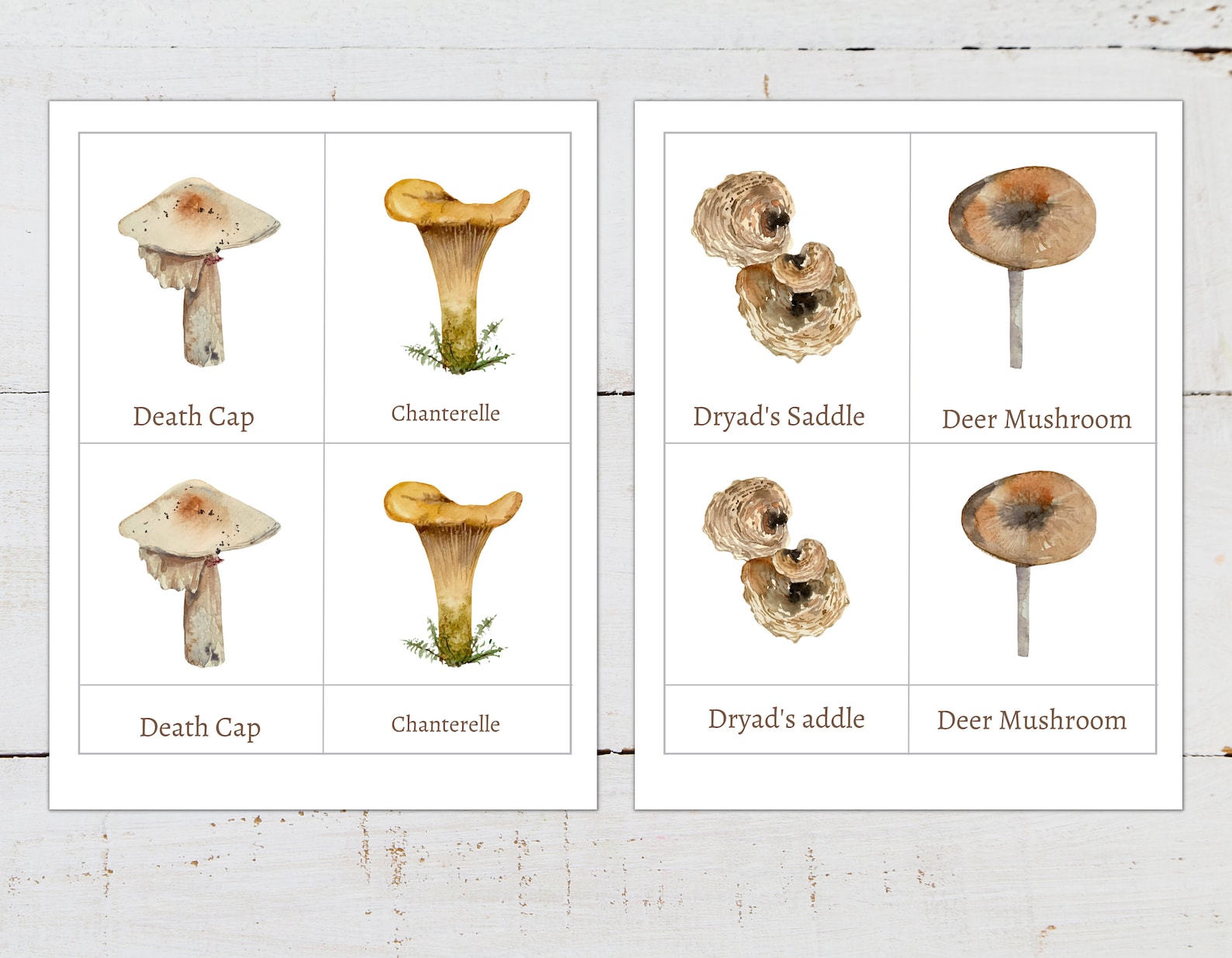 MUSHROOMS Mini Poster + 3-part Cards, 19 Mushrooms, Homeschool ...