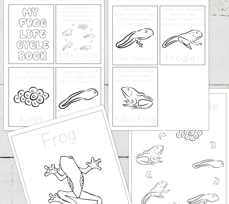 FROG Unit Study, Life Cycle, Anatomy, Nature Study, Science, Homeschool ...