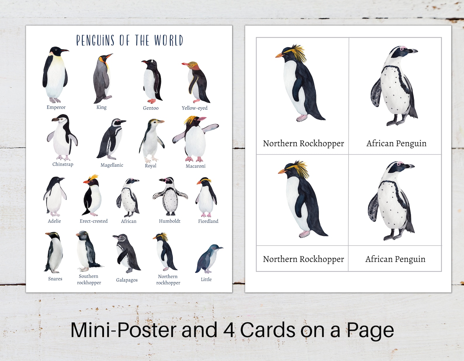 PENGUINS Mini Poster 3-part Cards, 18 Penguins, Homeschool, Montessori ...