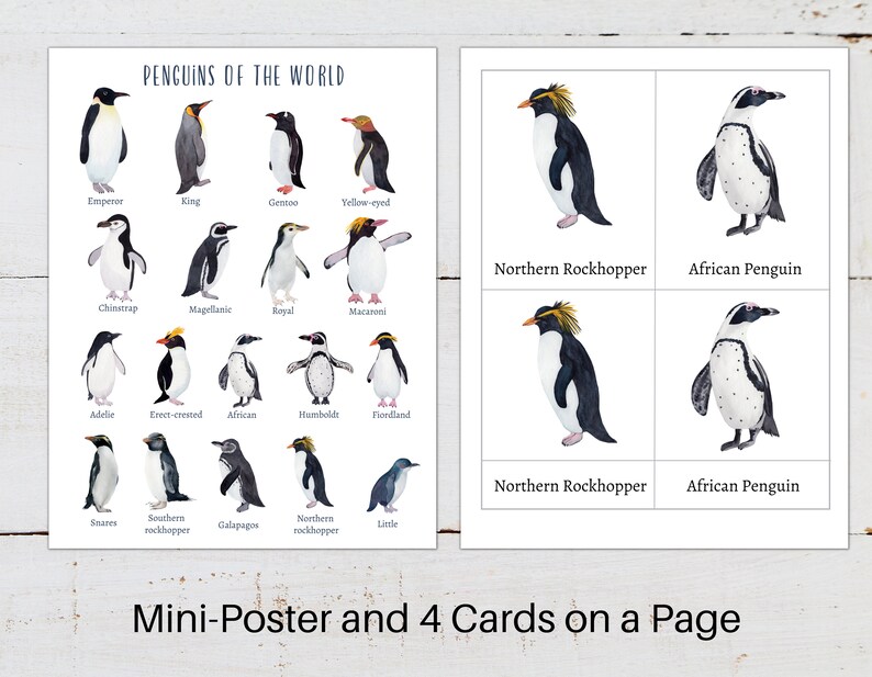 PENGUINS Mini Poster 3-part Cards, 18 Penguins, Homeschool, Montessori ...