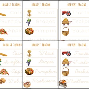 AUTUMN HARVEST Pre-k and K Activity Pack, Homeschool, Digital, Instant ...