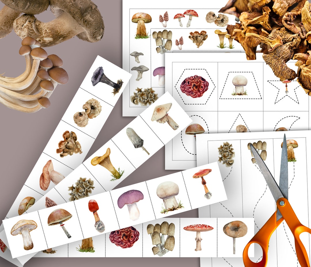 MUSHROOMS Cutting Strips, Scissor Practice, Preschool Printable ...