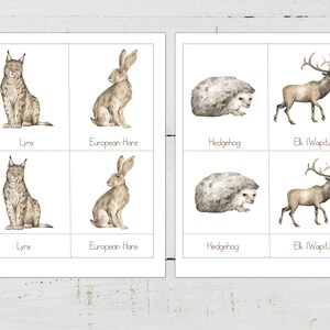 FOREST ANIMALS Mini Poster + 3-part Cards, Homeschool, Montessori ...