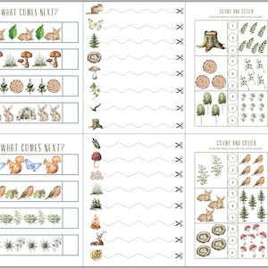 IN THE FOREST Pre-k and K Activity Pack, Homeschool, Digital, Instant ...