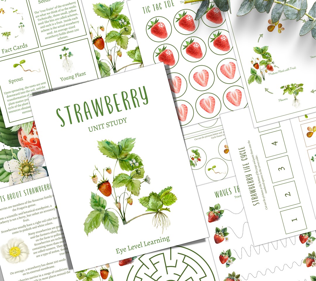 STRAWBERRY Unit Study, Life Cycle, Anatomy, Nature Study, Science ...