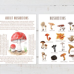 MUSHROOM Unit Study, Life Cycle, Anatomy, Nature Study, Science ...