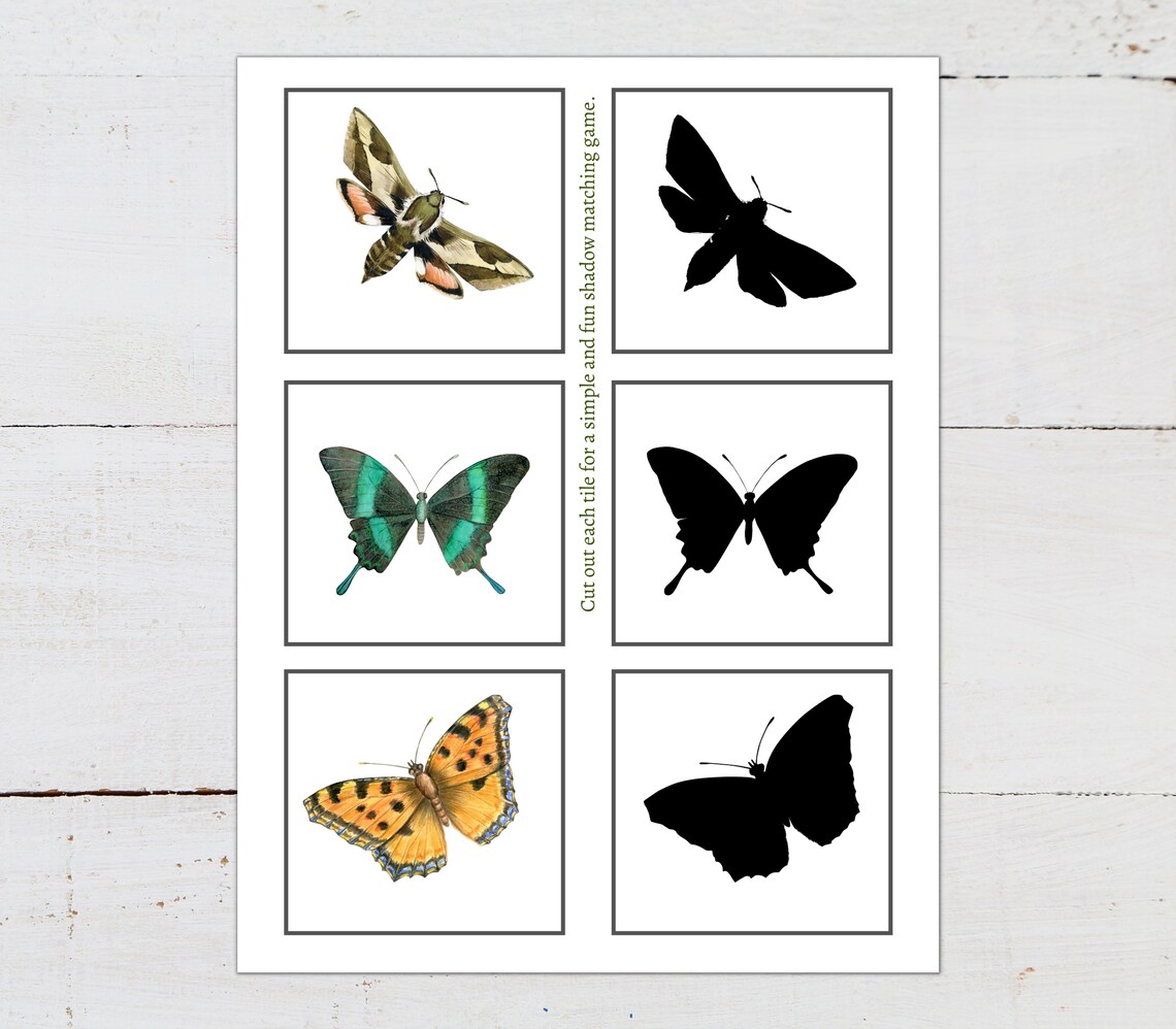 BUTTERFLY Shadow Matching, Silhouette Matching, Montessori at Home ...