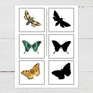 BUTTERFLY Shadow Matching, Silhouette Matching, Montessori at Home ...