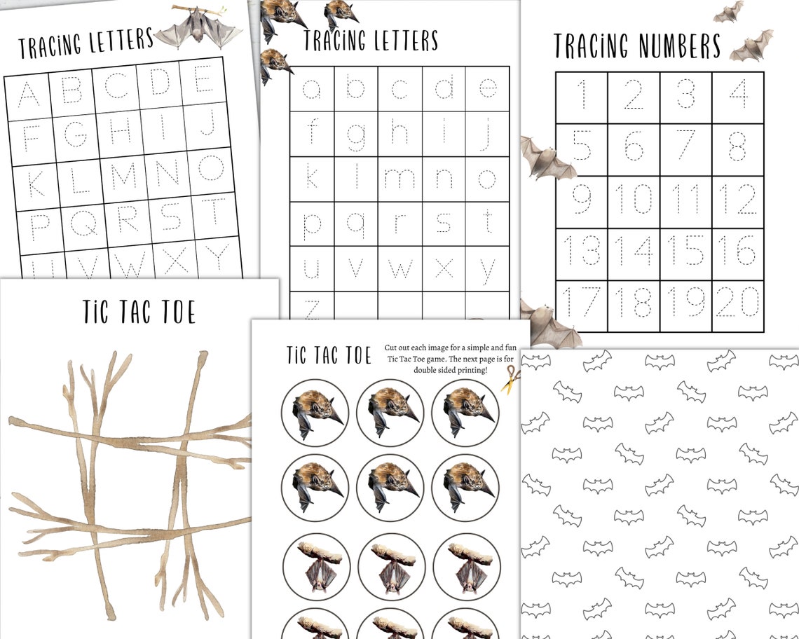 BAT Unit Study Life Cycle Anatomy Nature Study Science - Etsy UK