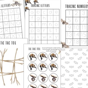 BAT Unit Study, Life Cycle, Anatomy, Nature Study, Science, Homeschool ...