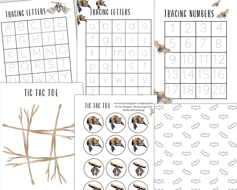 BAT Unit Study Life Cycle Anatomy Nature Study Science - Etsy UK