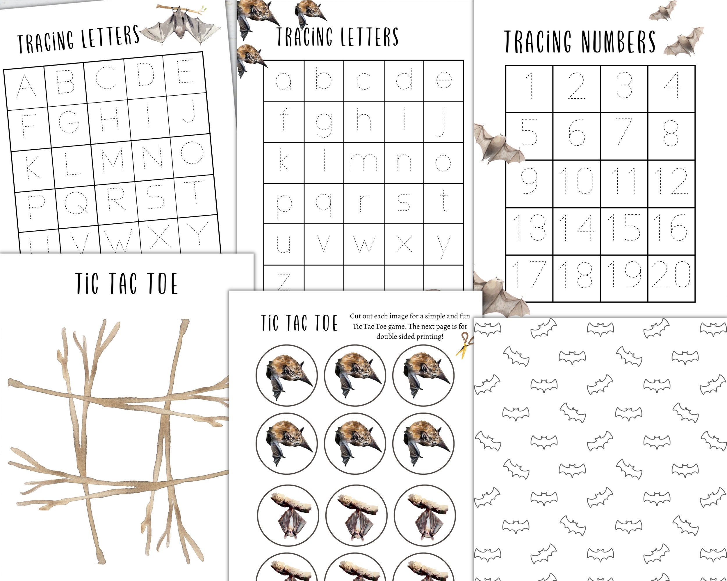 BAT Unit Study, Life Cycle, Anatomy, Nature Study, Science, Homeschool ...